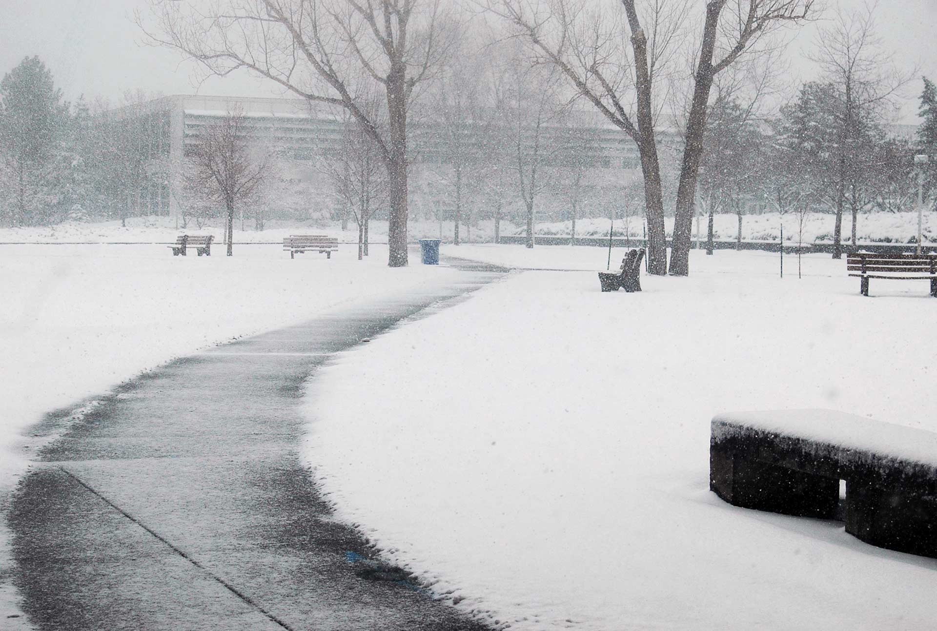The truth about winter in Denver - MSU Denver RED