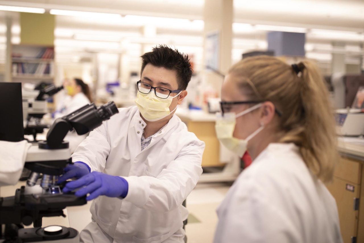 COVID-19 pandemic reveals critical work of medical-laboratory ...