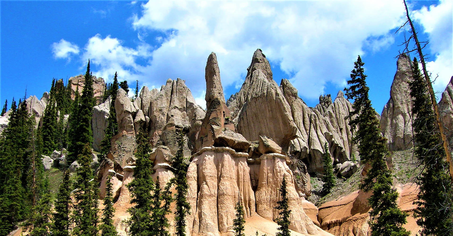 Colorado rocks! - MSU Denver RED