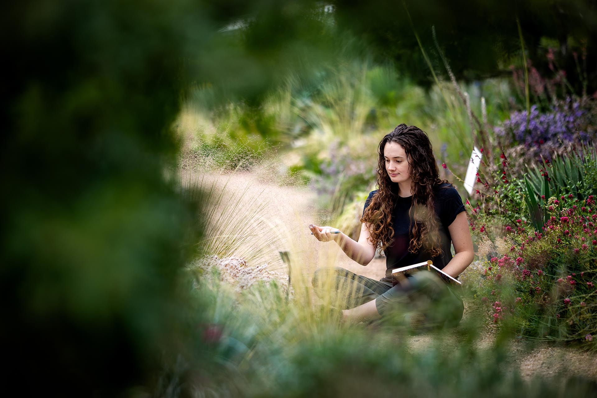 Water crisis sinks to new level - MSU Denver RED