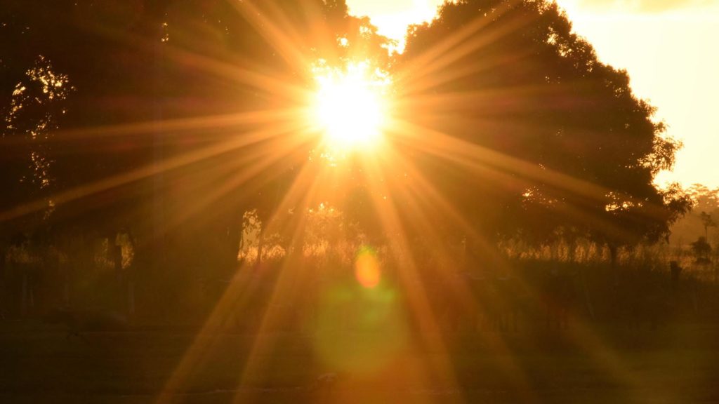 7 tips for a healthy morning routine - MSU Denver RED