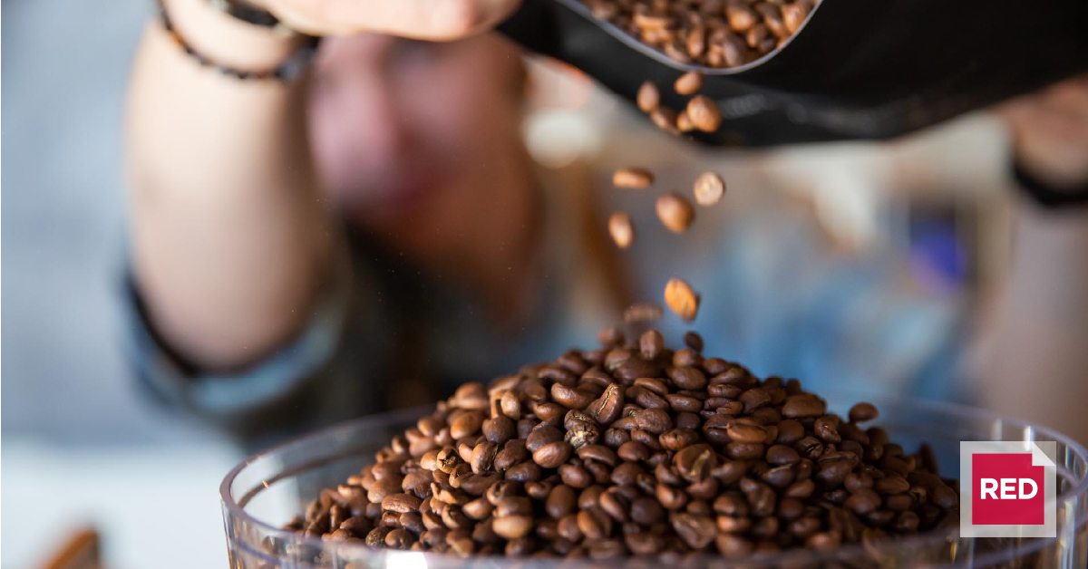 Denver After Dawn: best coffee roasters - MSU Denver RED