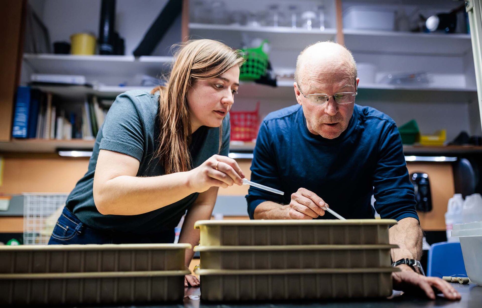 As West Nile infections surged, these scientists faced an unprecedented ...